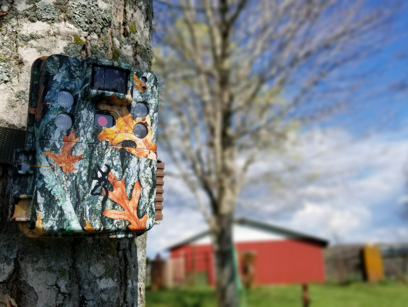 Services – Prometheus Group