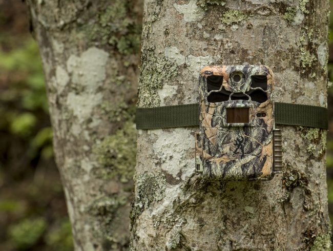 Trail Camera Development – Prometheus Group
