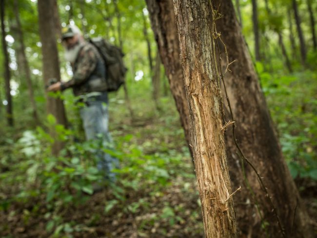 Trail Camera Development – Prometheus Group